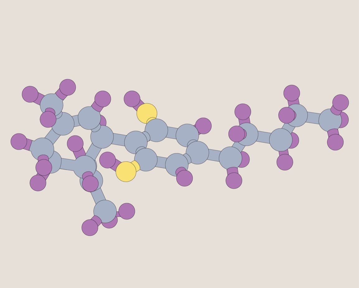 The Intriguing Science Behind Female Arousal | Vella