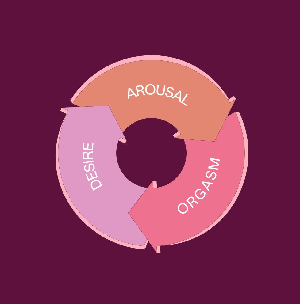 The Intriguing Science Behind Female Arousal | Vella